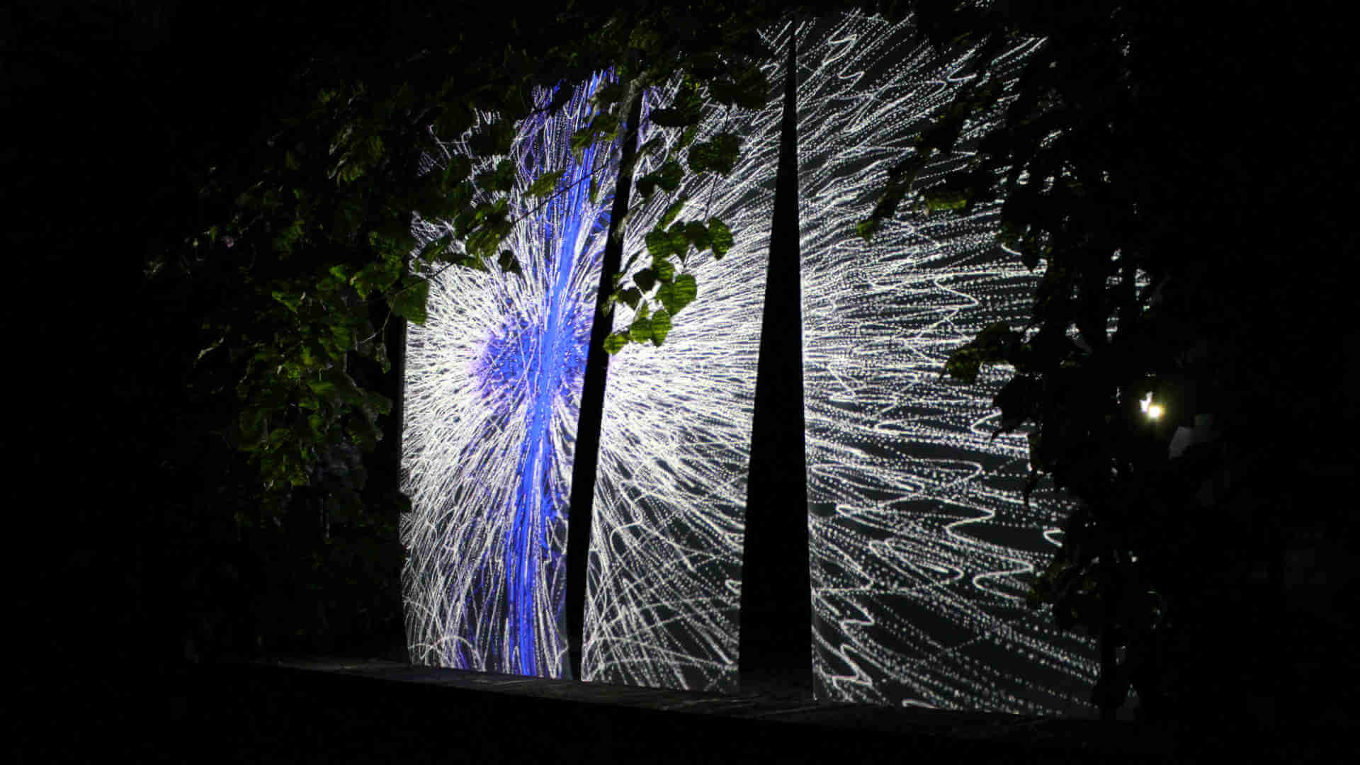 Hugo Verlinde : "Il y a toujours des réticences face aux nouvelles ...